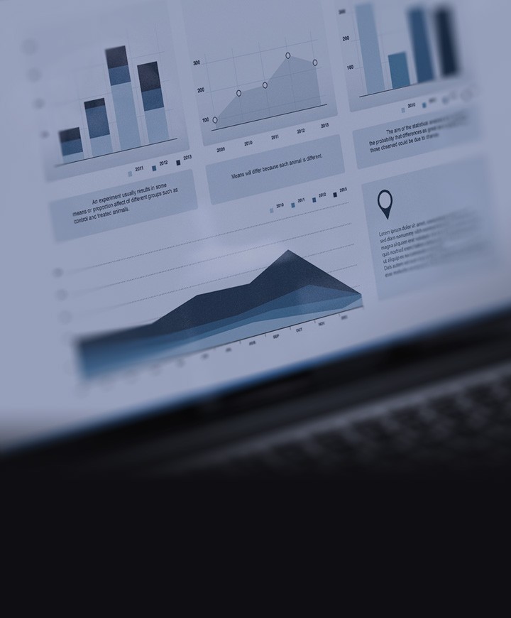 ml budget planner development