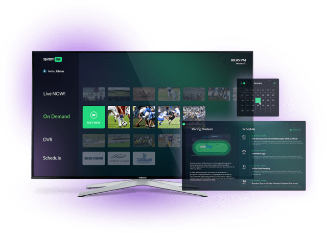 Roku TV App Development Company | Custom Roku TV Application Developers